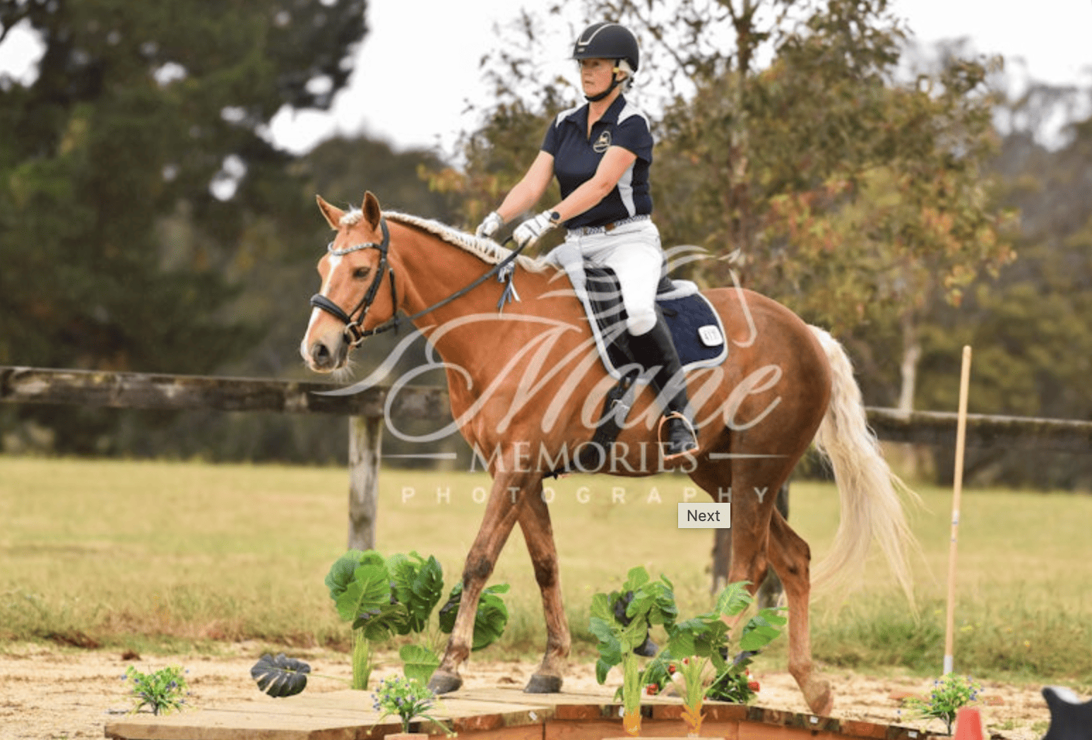 Working Equitation Geelong
